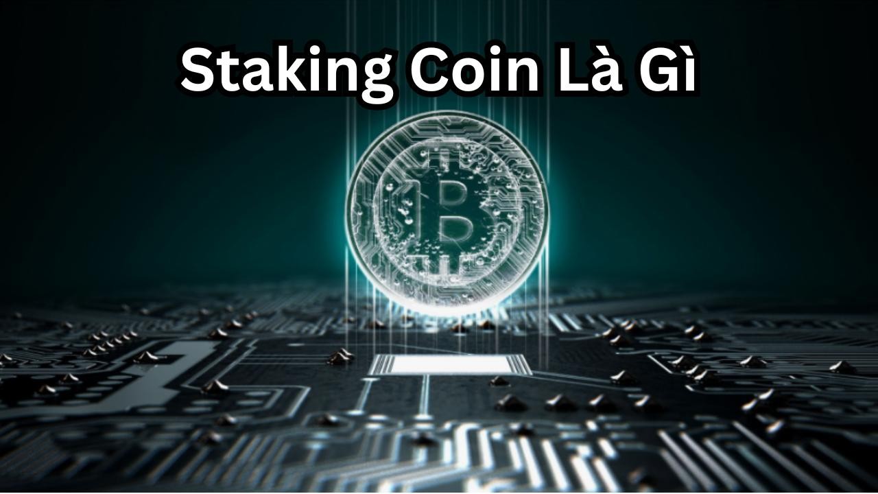 Staking Coin Là Gì? Các Mô Hình Chính Và Lợi Ích Của Staking